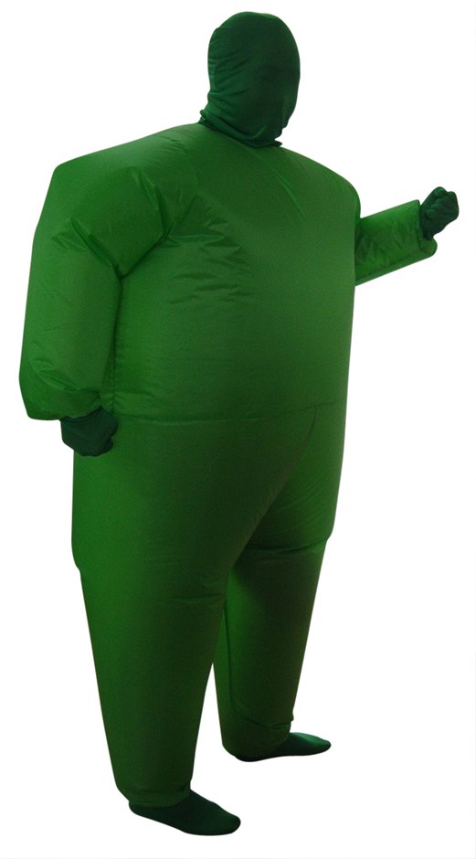 Buy Go Green Inflatable Costume Fancy Dress Suit Fan Operated | Grays ...