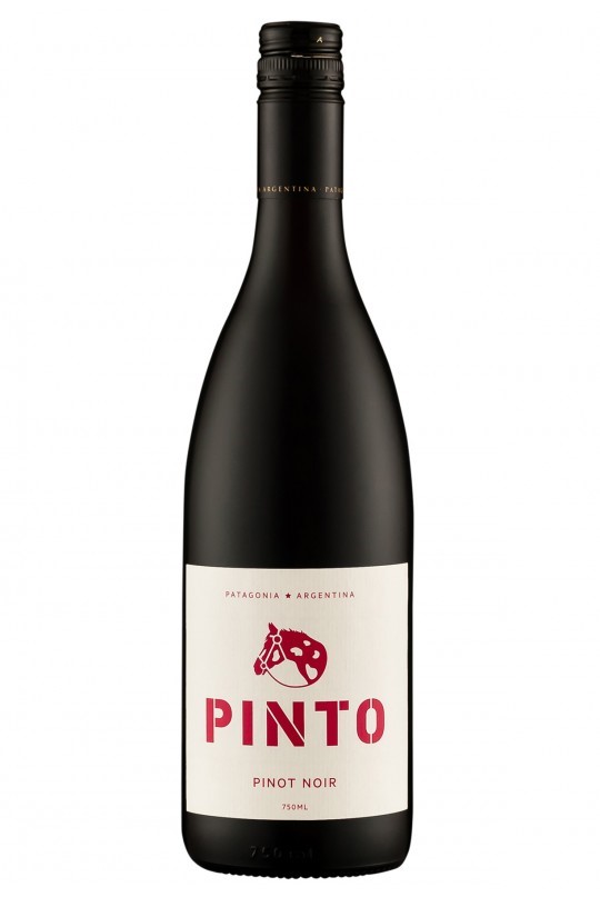 Buy Pinto Pinot Noir 2017 | Grays Australia