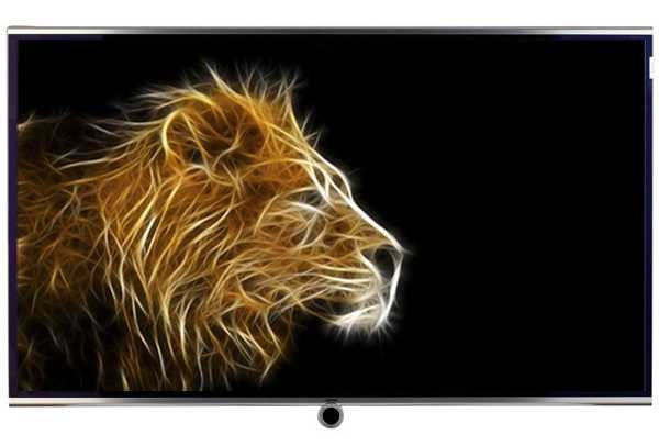 Buy Loewe Individual 40-inch Full HD LED LCD TV (Silver) (52401B43 ...