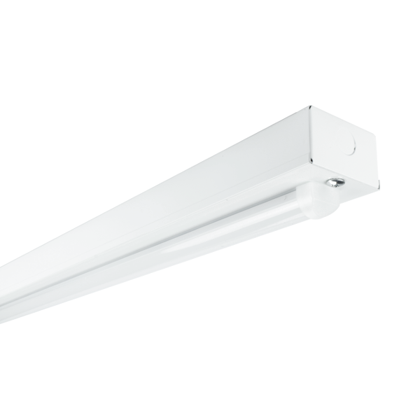 Qty 6 x LED Bare Batten Single Lights Auction (0029-7032968) | Grays ...