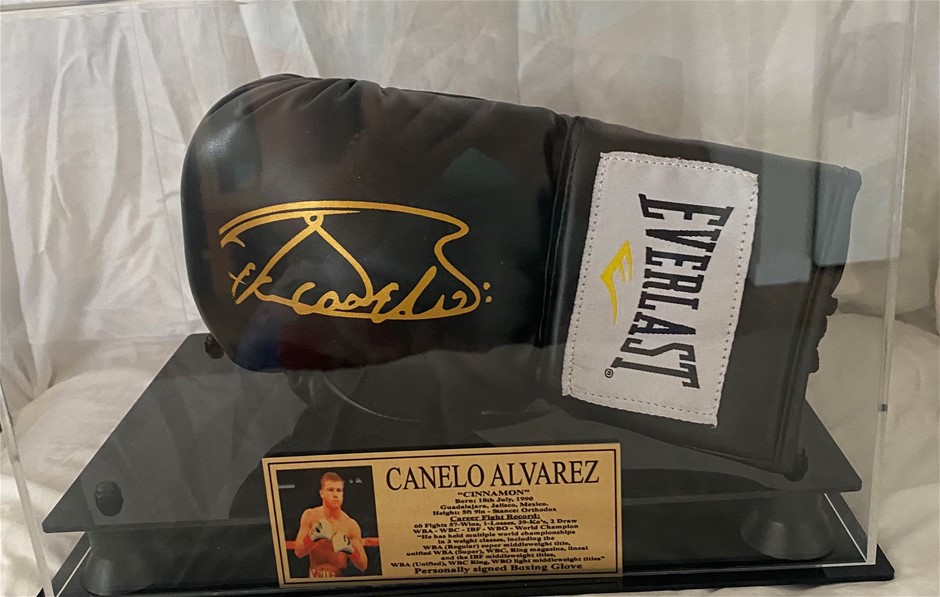 Canelo Alverez hand signed boxing glove in display case Auction (0001 ...