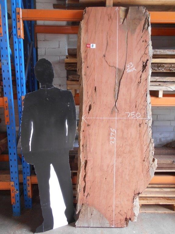 Very Large Rustic Slab - River Red Gum Table Slab Auction (0008-5048094 ...