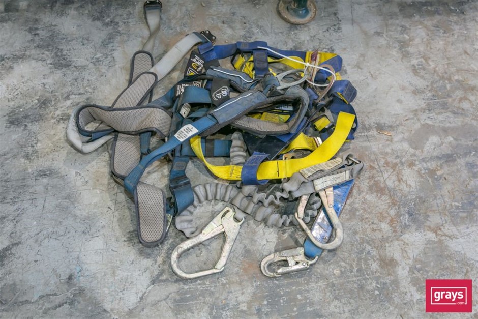 Sala Isafe Harnesses Auction (0024-5048476) | Grays Australia