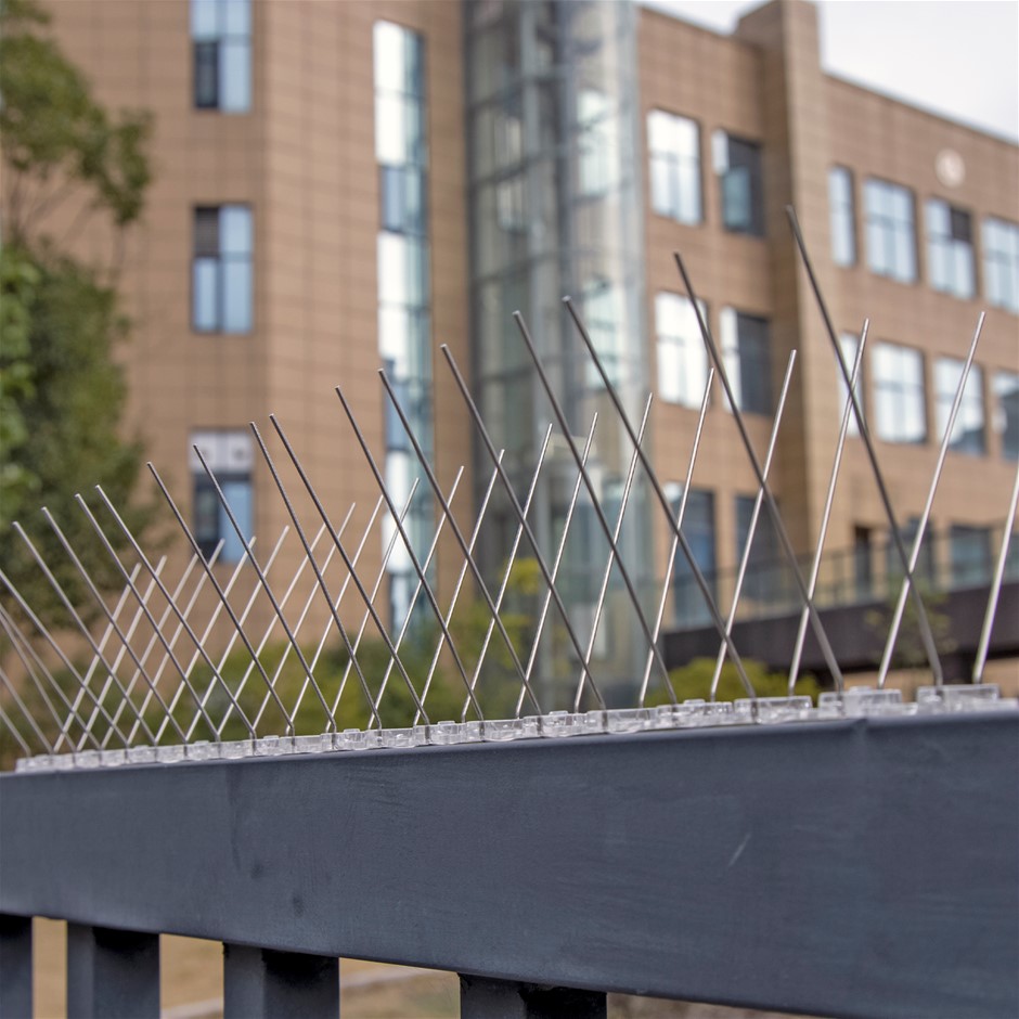 Buy 20x 50cm Bird Spike S304 wire Spikes Eaves Pigeon Gull Starling 10M ...