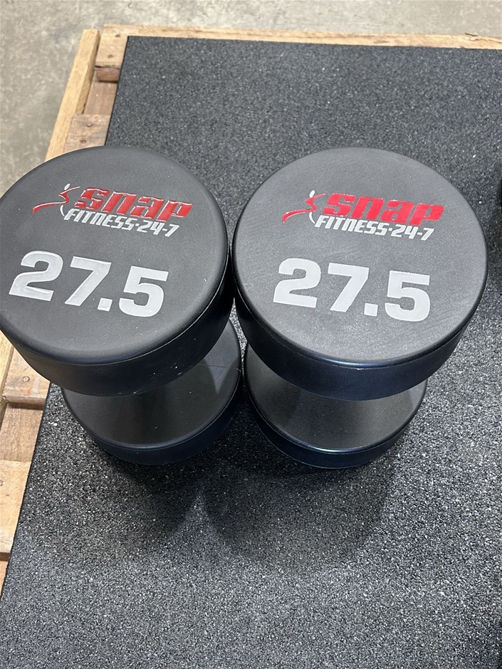 Snap fitness PU 27.5 KG dumbbell - pair Auction (0080-5050767) | Grays ...