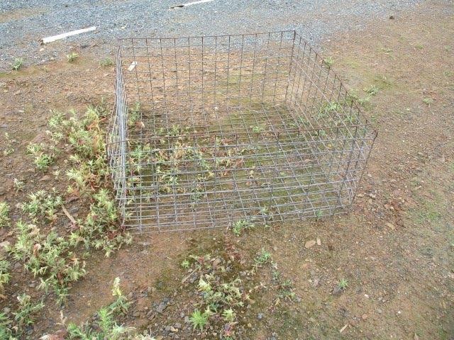 4 x Steel Frame Cages Auction (0032-3023726) | Grays Australia