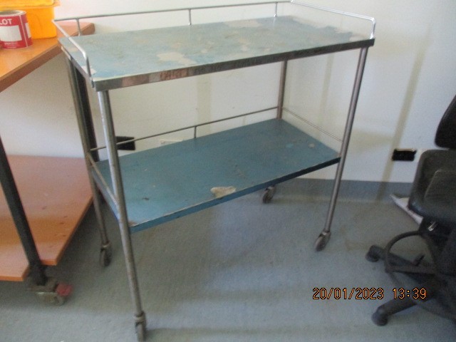 Stainless Steel 2 Level Trolley Auction (0071-3024293) | Grays Australia