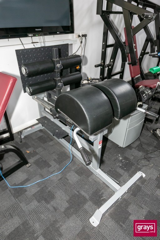 Force Ab Back / Curl Machine Auction (0009-5051666) | Grays Australia