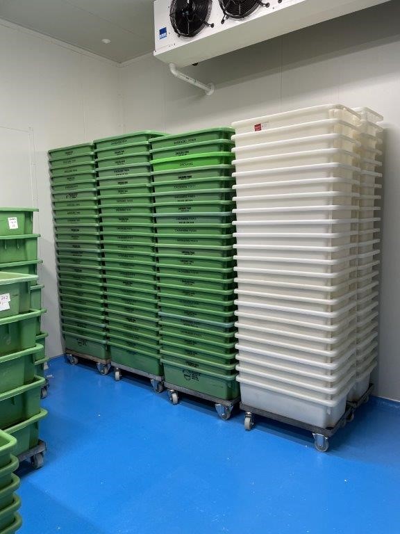 Poly bins and dollies Auction (0211-5051836) | Grays Australia