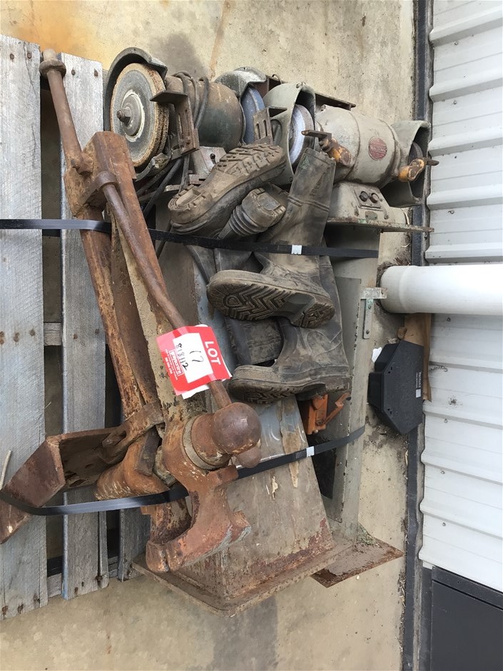 Pedestal Grinders Auction (0036-8016863) | Grays Australia