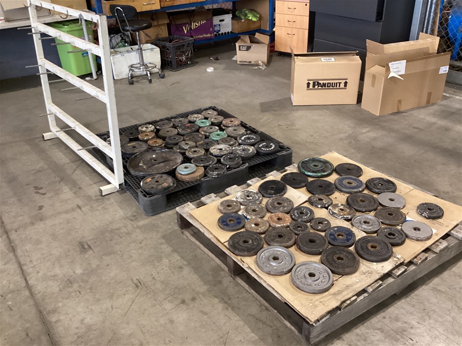 Gym Weights And Weight Stand Auction (0057-8017206) | Grays Australia