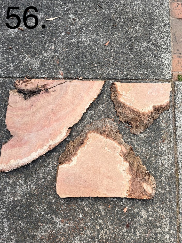 3 x Burl Timber Slab Pack - Bimble Box Burl Auction (0056-5052637 ...