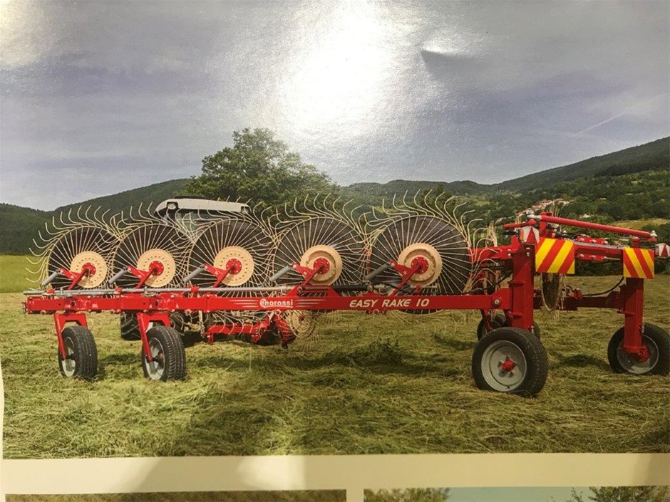 1 x Enorossi Easy Rake 10 Auction (0053-3025683) | Grays Australia