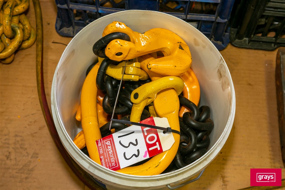 2 Leg Lifting Chain Auction (0133-5052820) | Grays Australia