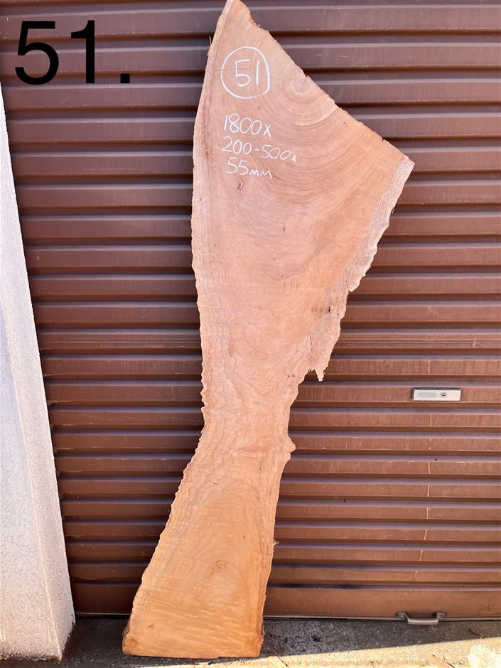 Timber slab - Silky Oak Auction (0051-5053530) | Grays Australia