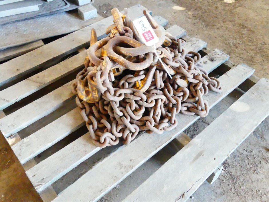 Four Leg Lifting Chain Auction (0543-5053641) | Grays Australia