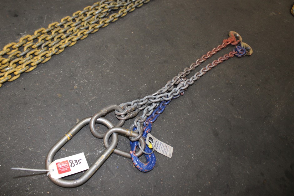 Barry Evans 3 Leg Lifting Chain Auction (0835-5053688) | Grays Australia
