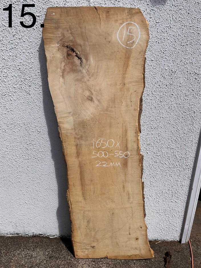 Maple Timber Slab Auction (0015-5054448) | Grays Australia