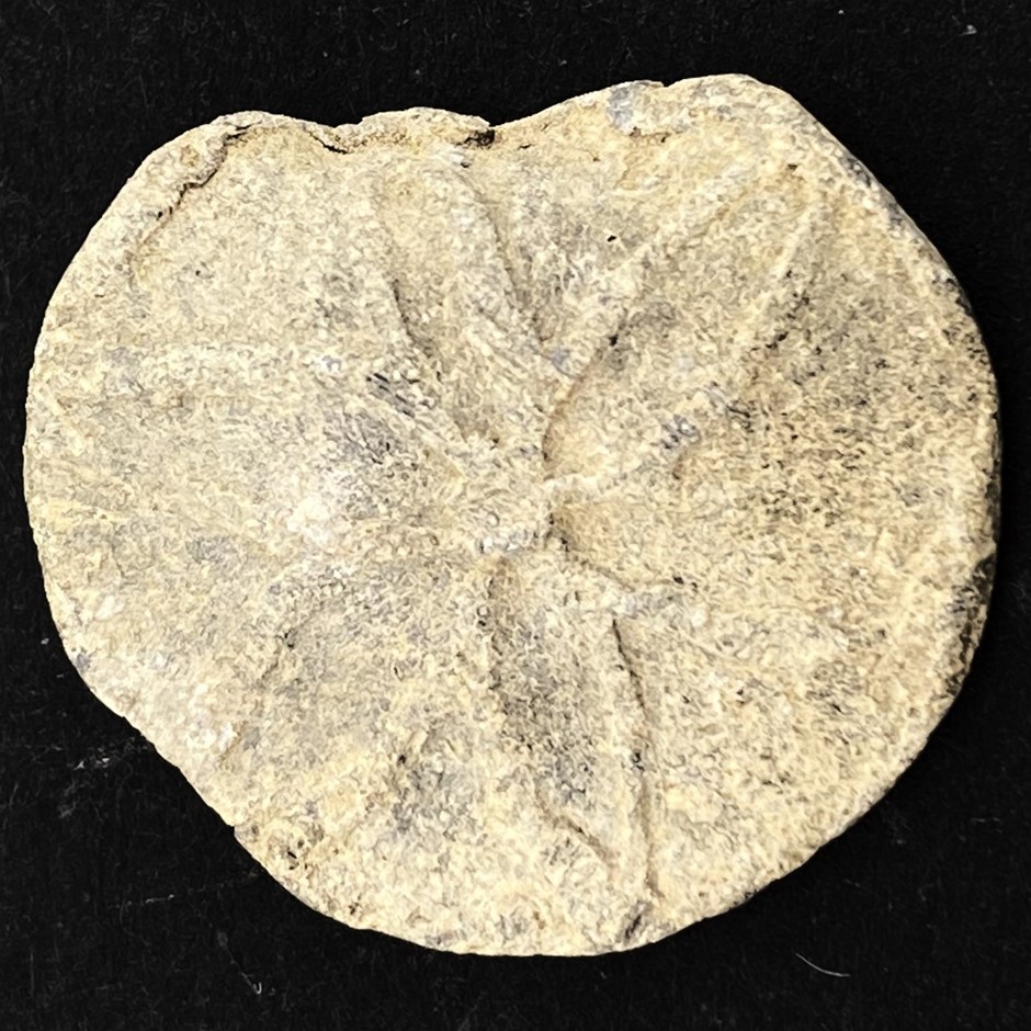 ANCIENT MEDIEVAL TRADERS CLOTH SEAL FEATURING A FLOWER DESIGN AND 'EB ...