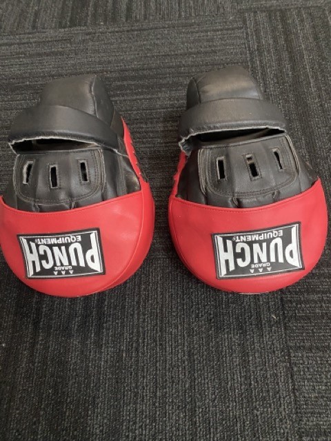 4 x AAA Grade Punch Equipment Boxing Receiver Set (Red) Auction (0023 ...