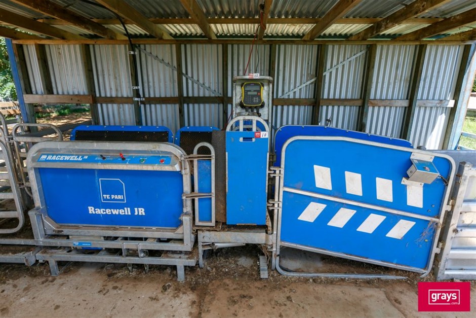 Te Pari Racewell JR Sheep Handler Auction (0010-5055274) | Grays Australia