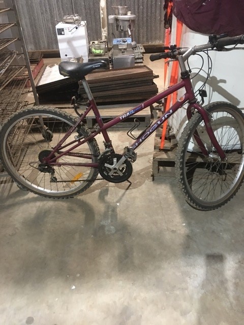 Ladier Bike Auction (0014-3028022) | Grays Australia