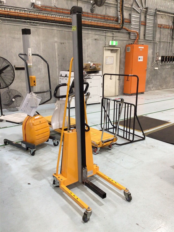 Liftex E100 TR2200 (E100A) Carton Lifter Auction (0078-7049539) | Grays ...