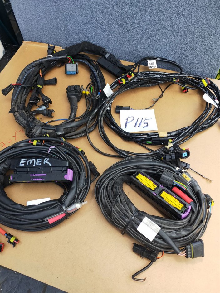 4x LPG Gas Conversion Cables Auction (0092-3028203) | Grays Australia