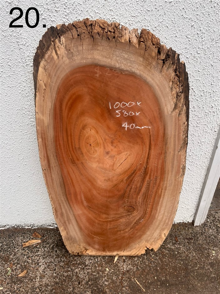African Mahogany Timber Slab Auction (0020-5055775) | Grays Australia
