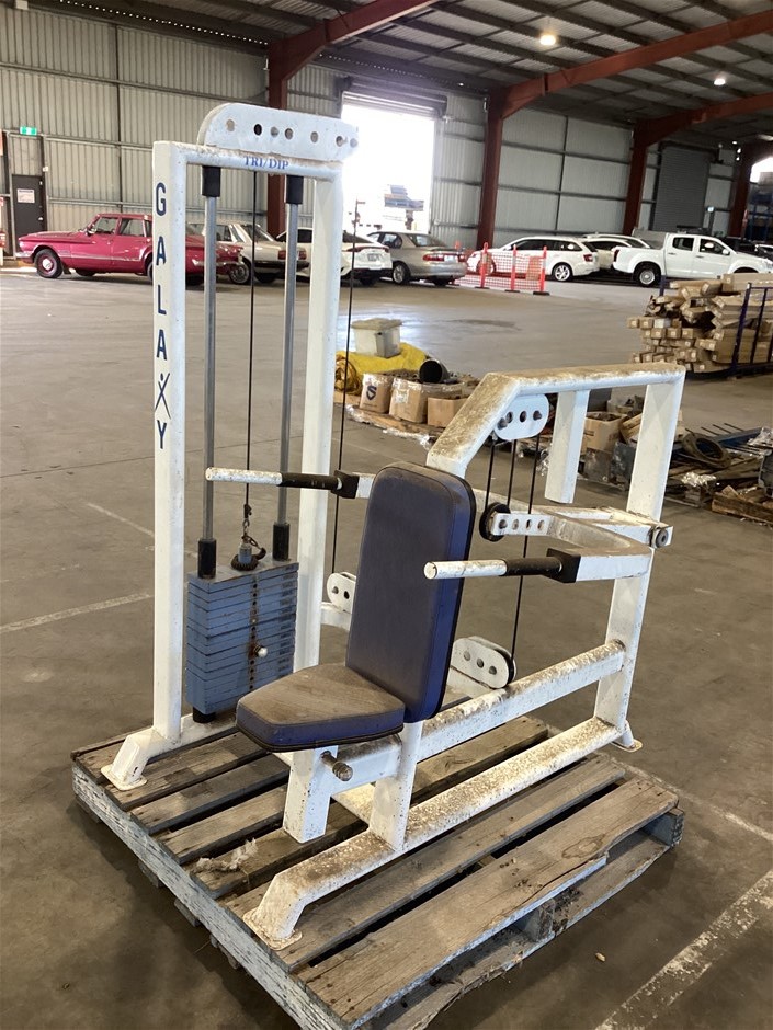 Galaxy Tri/Dip Gym Equipment Auction (0063-8019036) | Grays Australia