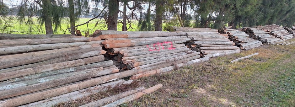 Approximately 1000 x Used Pine Posts Assorted Lengths 2m+ Auction (0002 ...