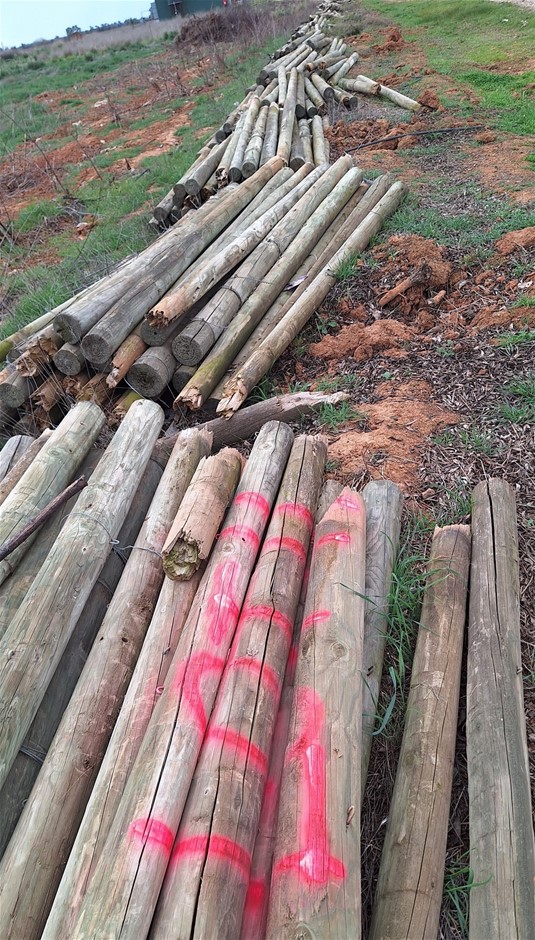 Approximately 1000 x Used Pine Posts Assorted Lengths 2m+ Auction (0011 ...