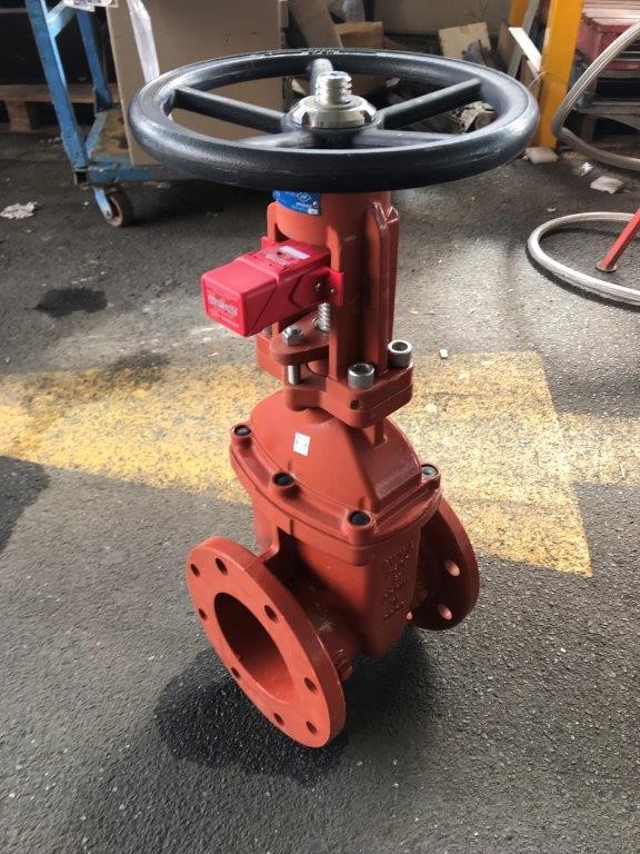 1x Fire Main Gate Valve Auction (0941-3030409) | Grays Australia