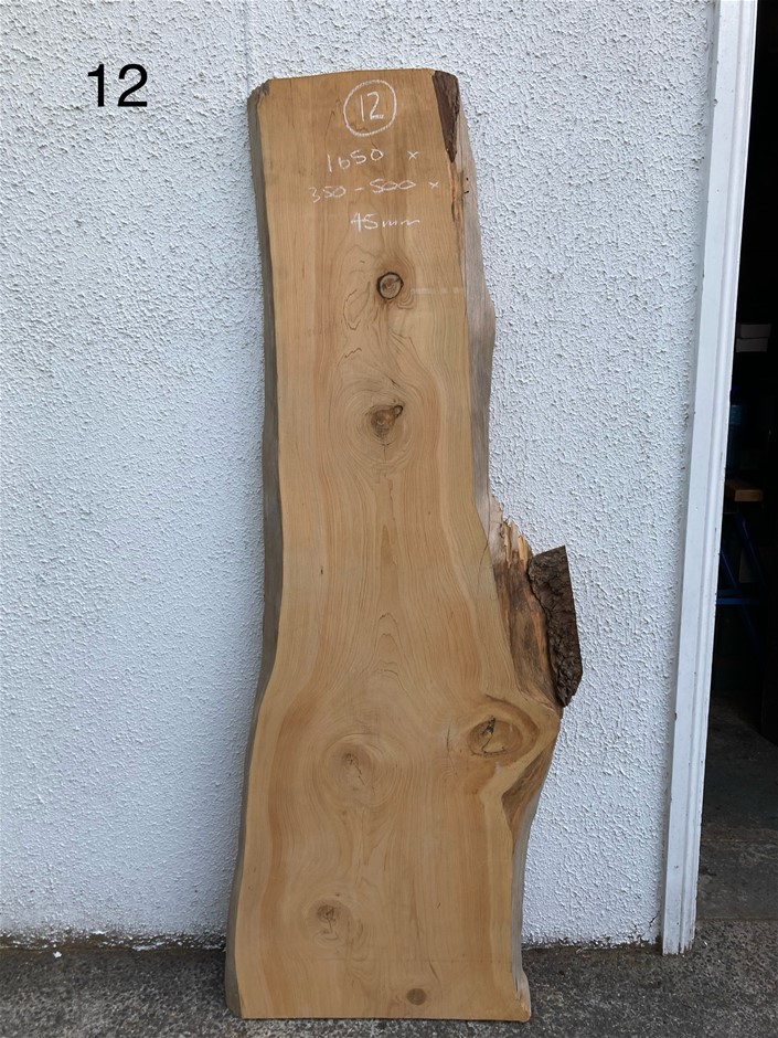 Himilayan Cedar Timber Slab Auction (0012-5058044) | Grays Australia