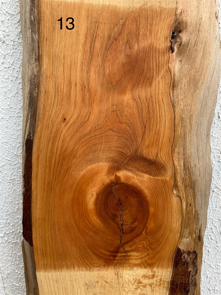 Himilayan Cedar Timber Slab Auction (0013-5058044) | Grays Australia