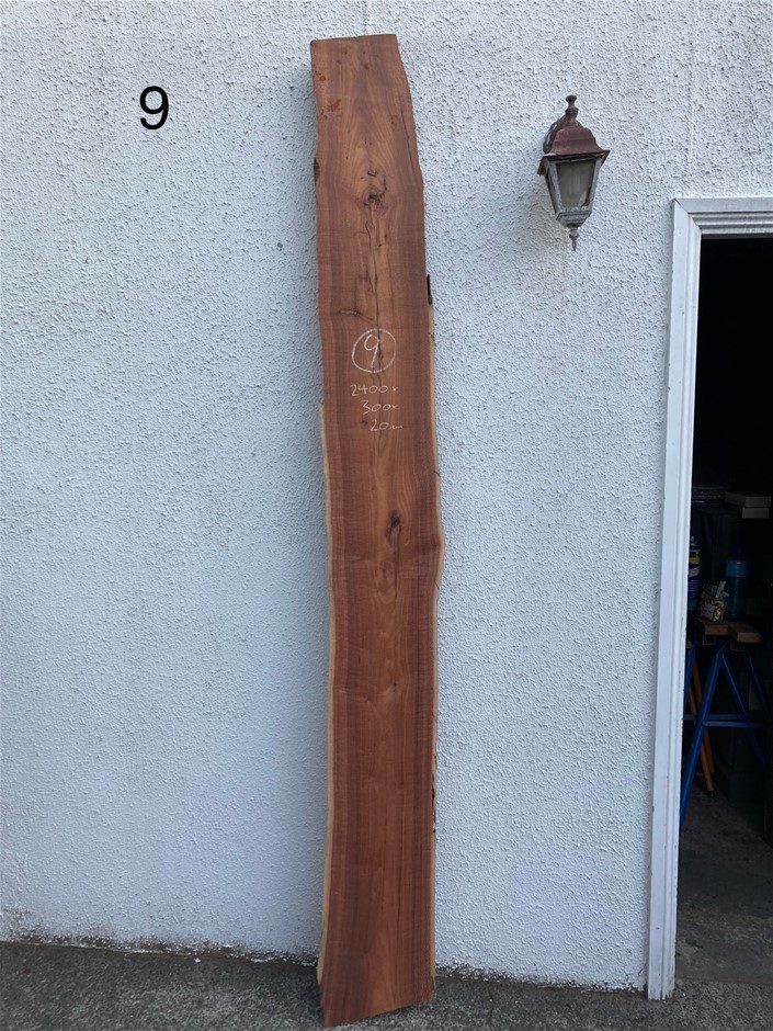 Beefwood Timber Slab Auction (0009-5058044) | Grays Australia