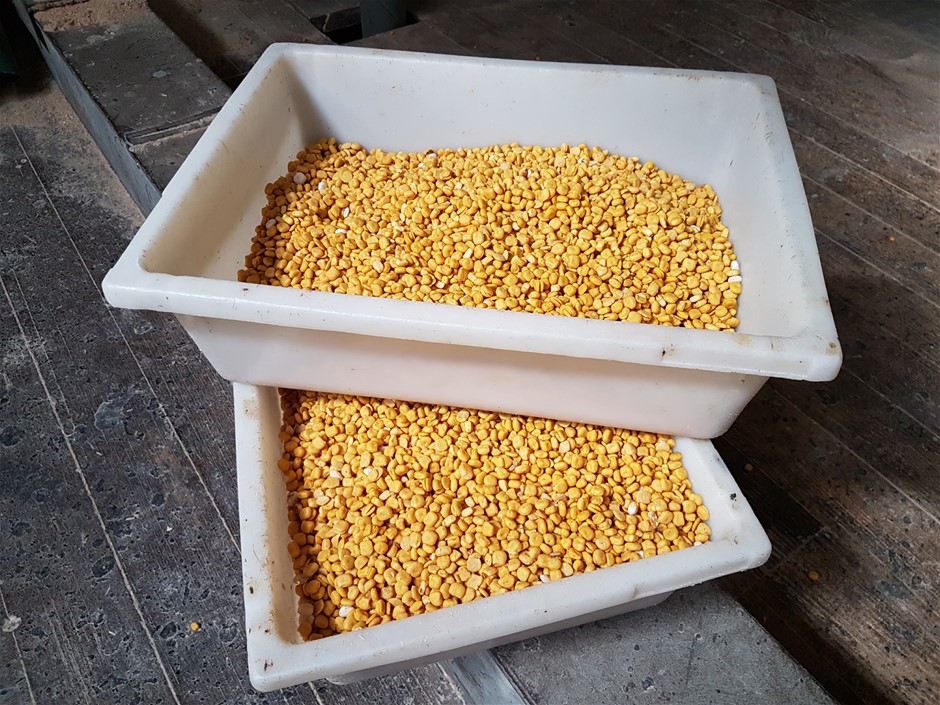 Dehulled Lupin Seed Kernels – Approx. 1.4 Metric Tonnes Auction (0060 ...