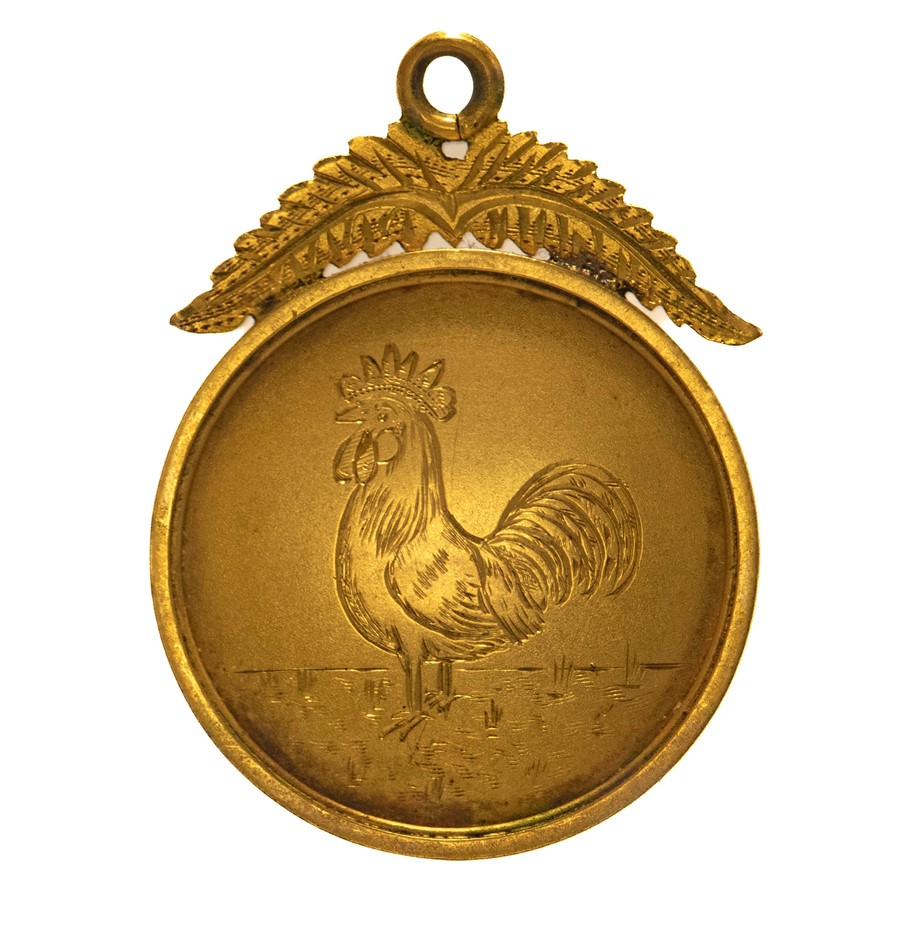 1907 New Plymouth Poultry & Caged Association 9Ct Gold Medal Auction ...