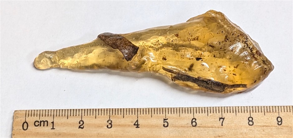 Fossil Tree Resin from Madagascar with lots of Insect inclusions ...