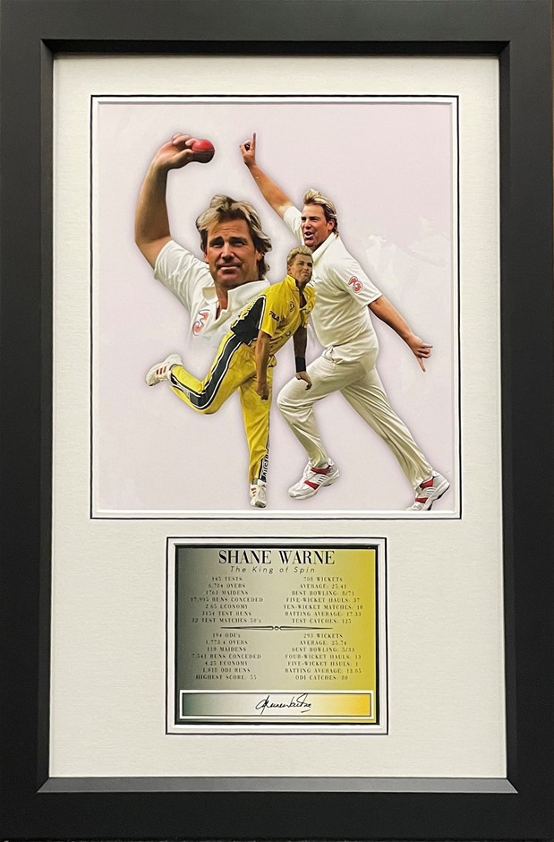 SHANE WARNE SIGNED CAREER MONTAGE FRAMED Auction (0072-2563276) | Grays ...