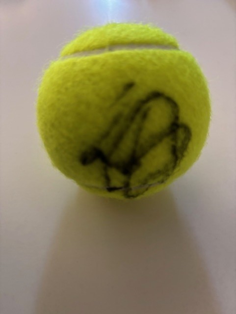 NOVAK DJOKOVIC SIGNED WILSON US OPEN TENNIS BALL Auction (0002-2564122 ...