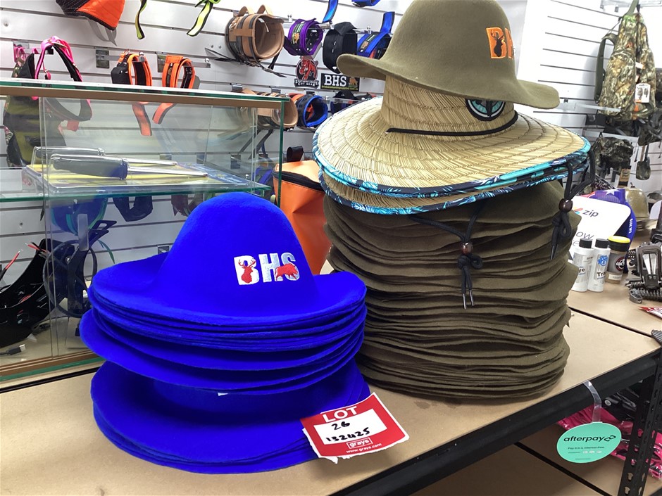 Assorted Wide Bream Hats Auction (0026-7056395) | Grays Australia