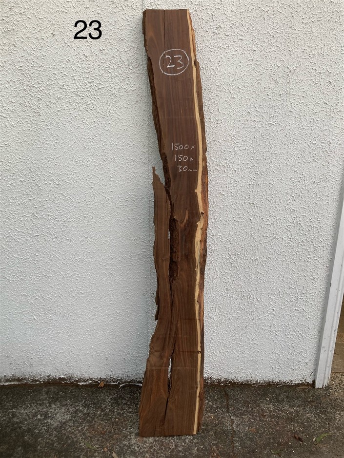 Gidgee Timber Slab Auction (0023-5059895) | Grays Australia