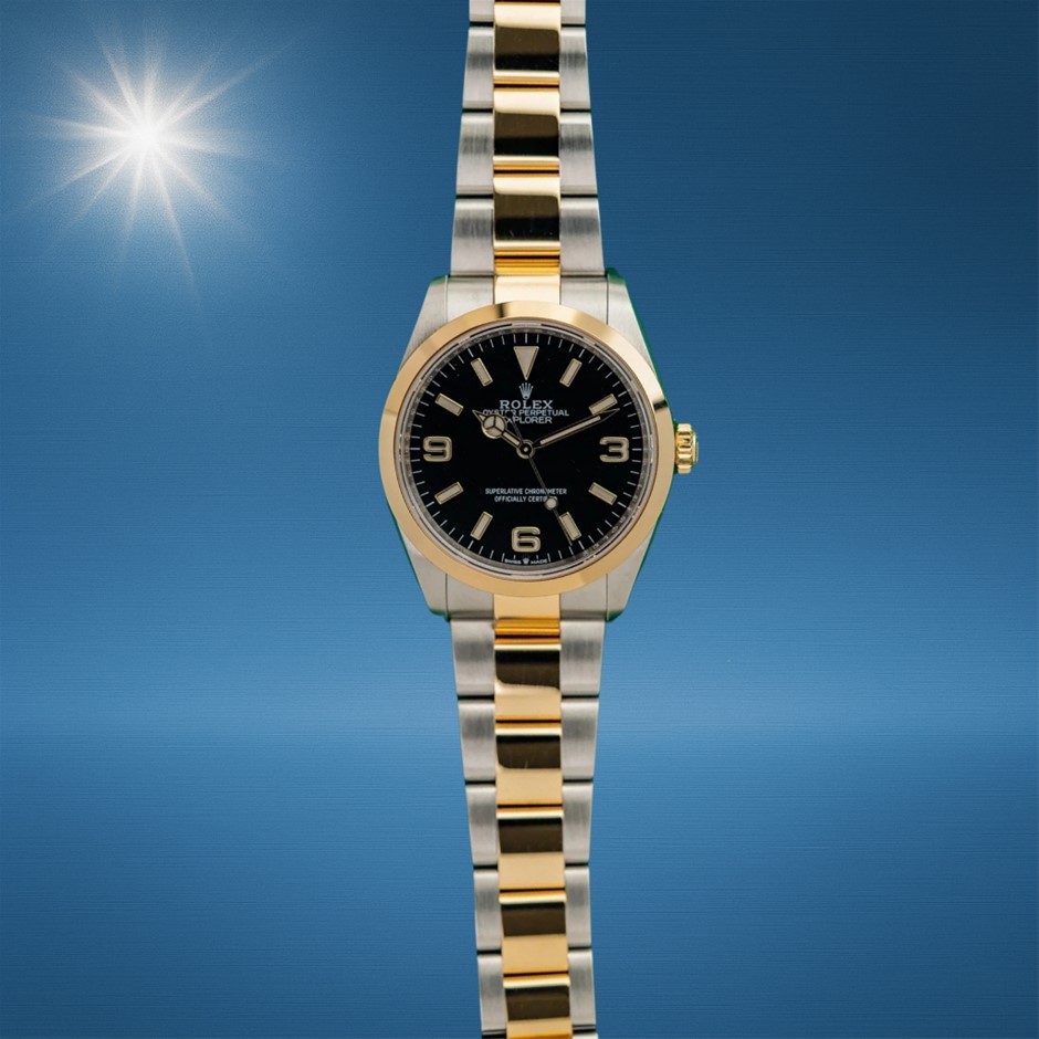 Rolex Explorer 36 Two Tone Yellow Gold 124273 36mm BxP Auction (0015 ...