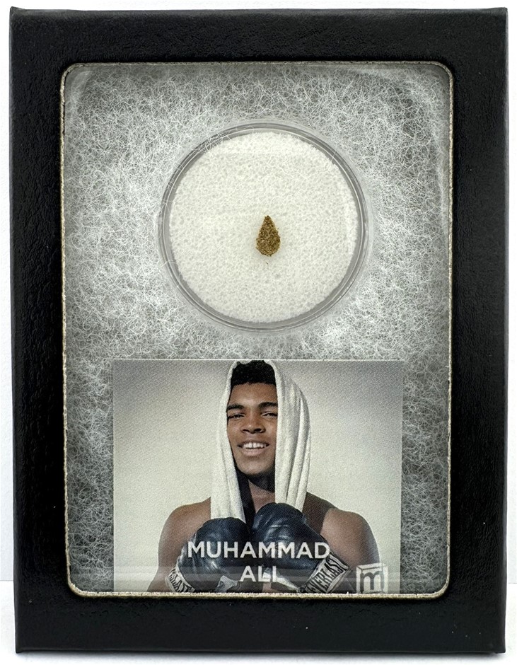 MUHAMMAD ALI'S PUNCHING BAG Auction (0001-2573120) | Grays Australia