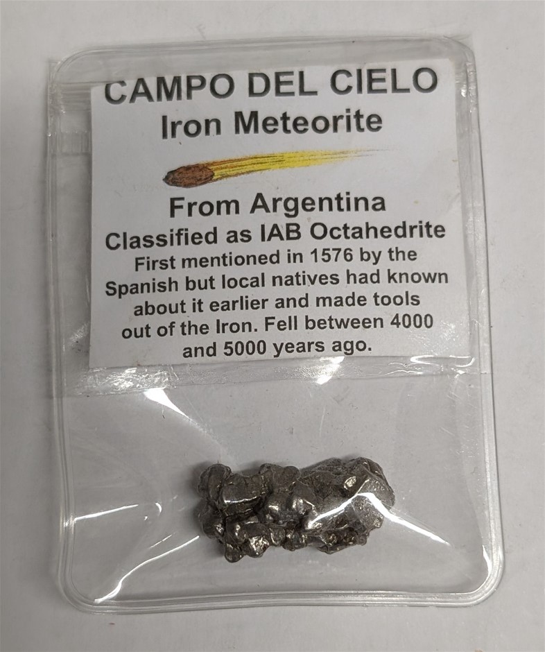 10 Gram Campo Del Cielo Iron Meteorite From Argentina Auction (0009 ...